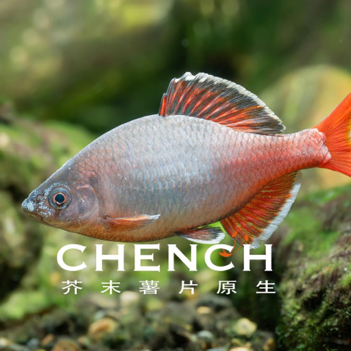 芥末薯片CHENCH 