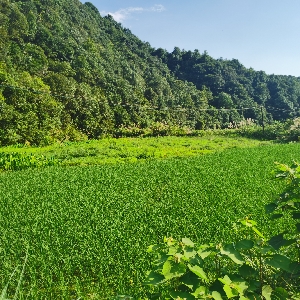 江的教学空间 