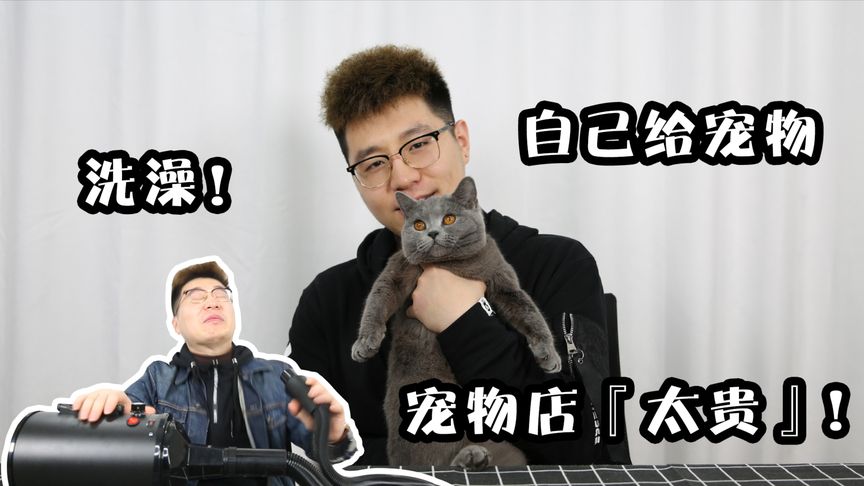 宠物店洗澡凭什么这么贵?小伙挑战自己给宠物洗澡!