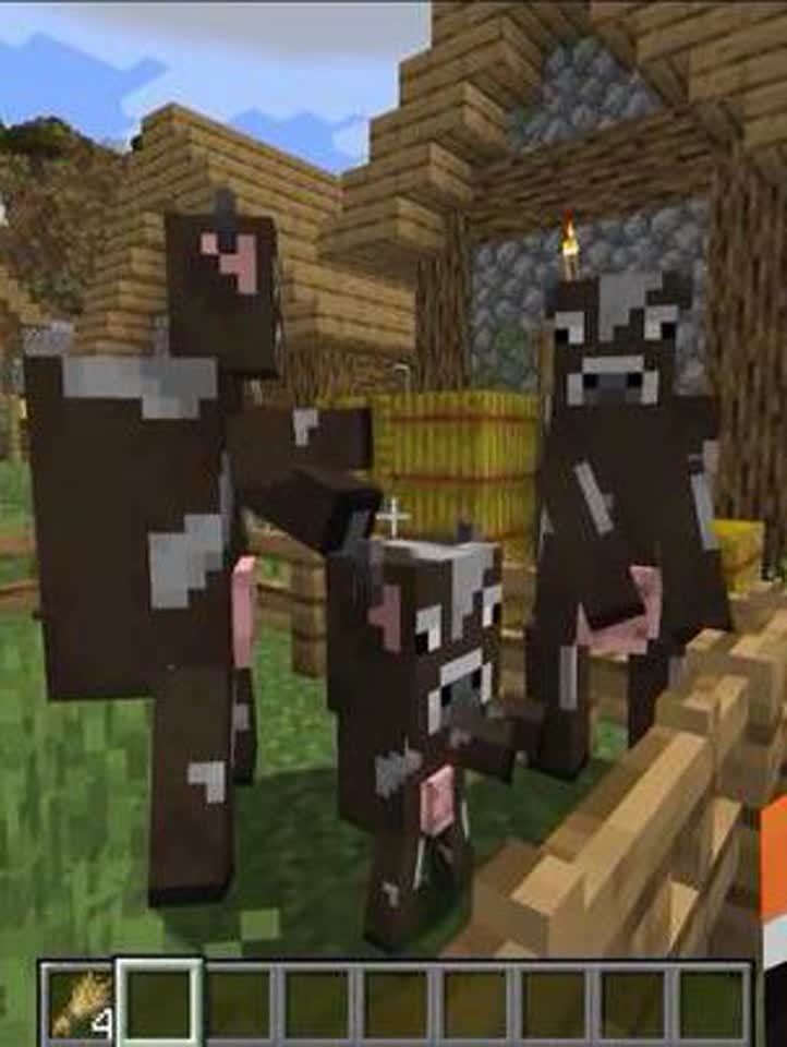 #minecraft #我的世界 再也不会让兄弟选择mods了