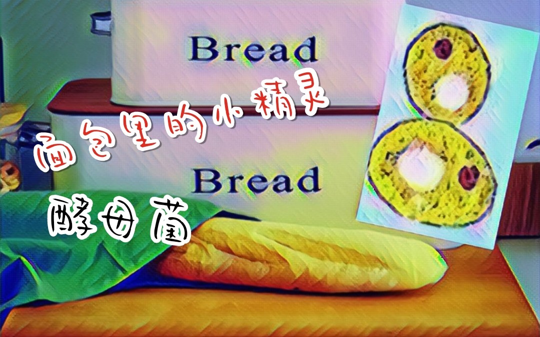 面包里的小精灵 酵母菌的染色观察
