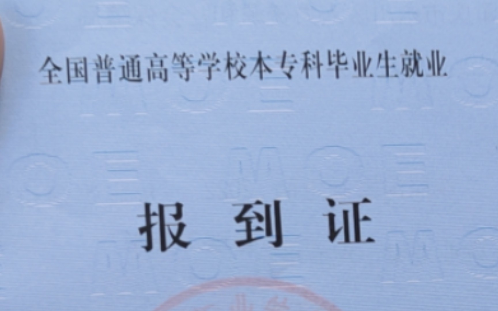 毕业生的疑问:报到证咋用呢?档案接收怎么查呢?