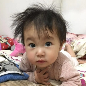 爱养鱼的球迷 