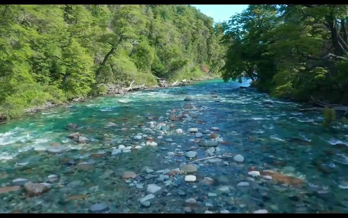 森林-雨林-自然放松的音乐-自然丛林的声音!