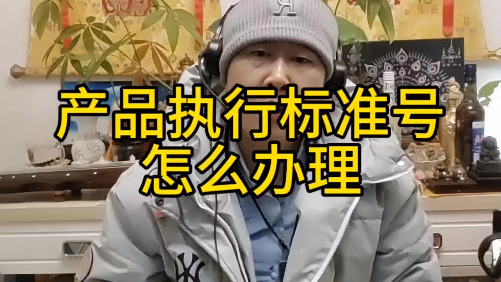 产品执行标准号怎么办理#执行标准 #执行标准号办理#国家标准