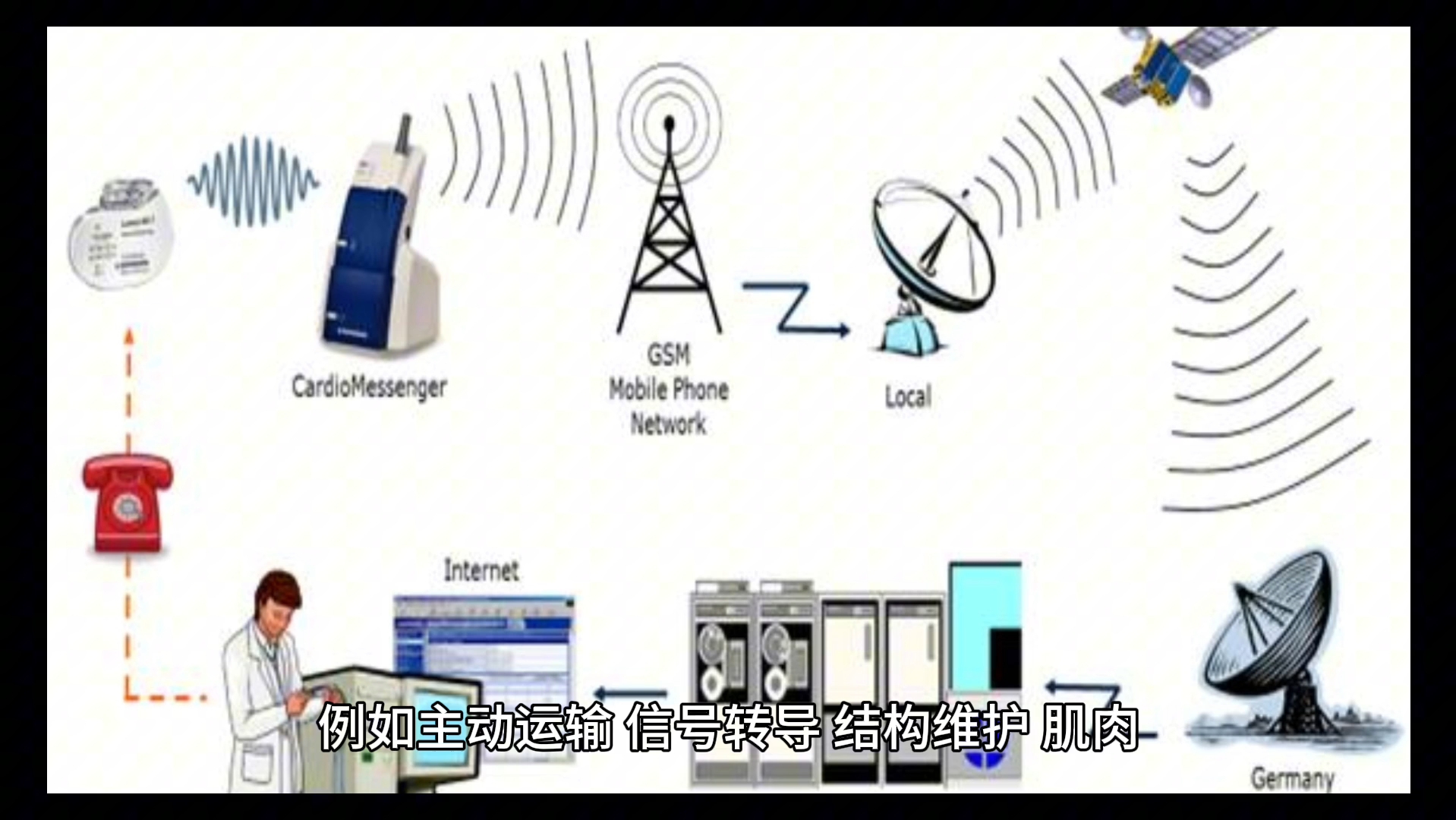 生物主要能量——腺苷三磷酸(ATP)