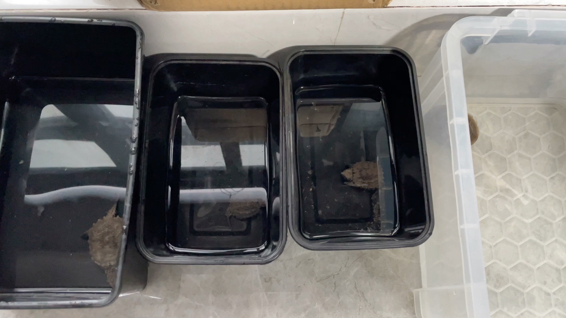 养龟的饲养容器