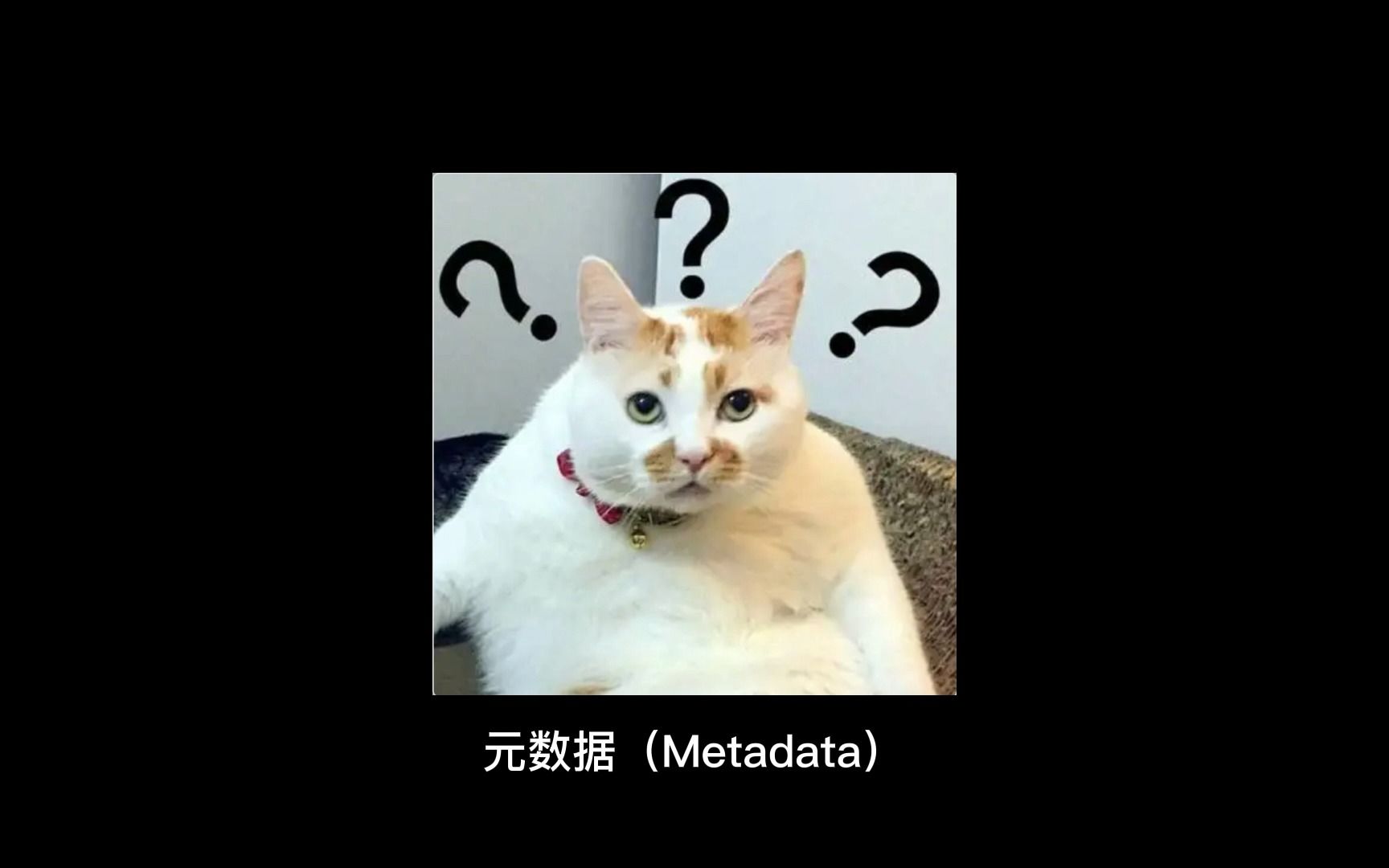 元数据(Metadata)标签的四种类型