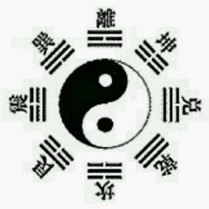 教体育的科学老师 