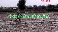 水稻水直播种植技术(部分)