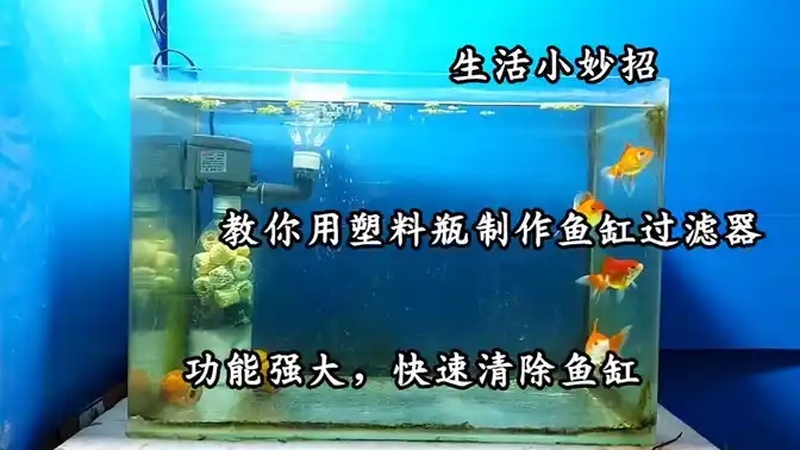 教你用塑料瓶制作鱼缸过滤器,快速清除鱼缸,简单实用,养鱼必备
