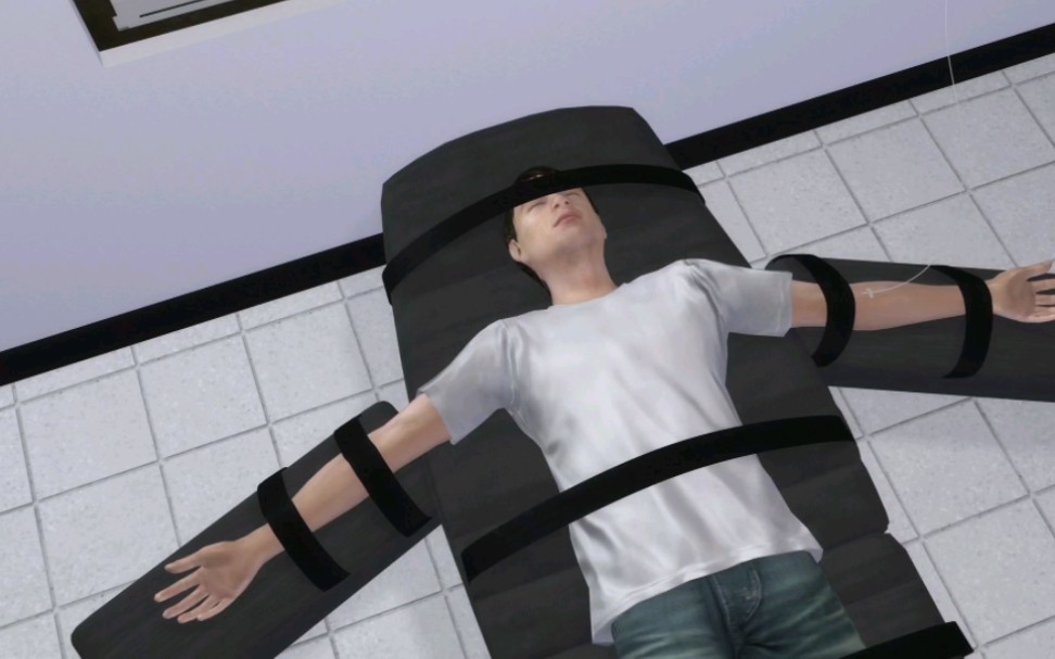 注射死刑过程,3D演示。
