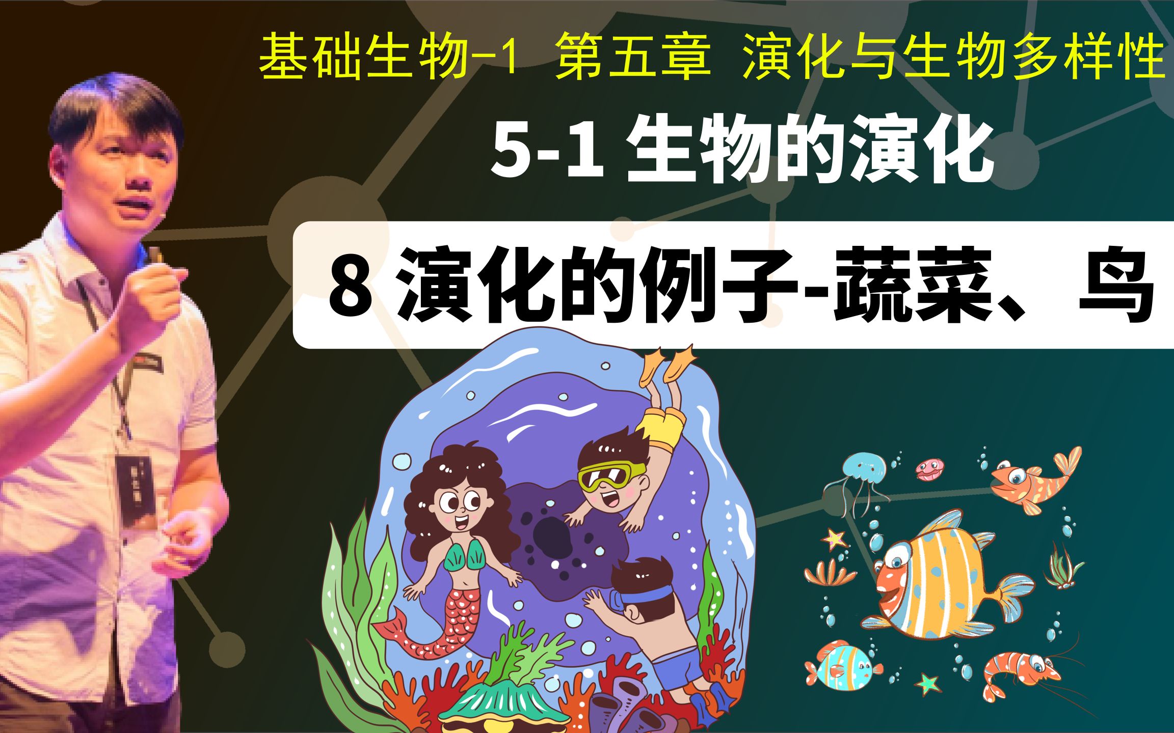 基础生物学5-1.8 演化的例子-蔬菜、鸟