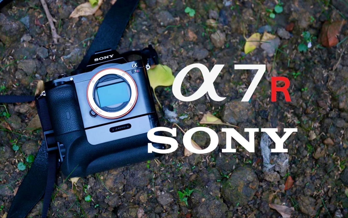 【4K】[Sony A7r]它是微单时代的开创者,请你听我讲述我和它的故事。