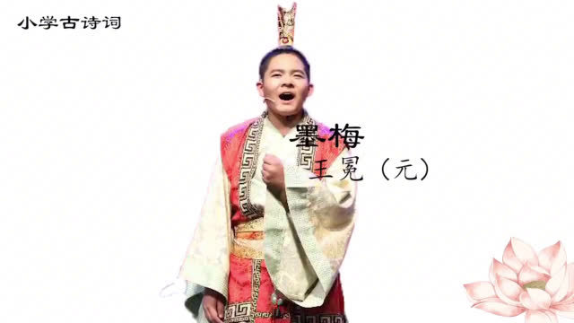 朗诵小学古诗词《墨梅》王冕.