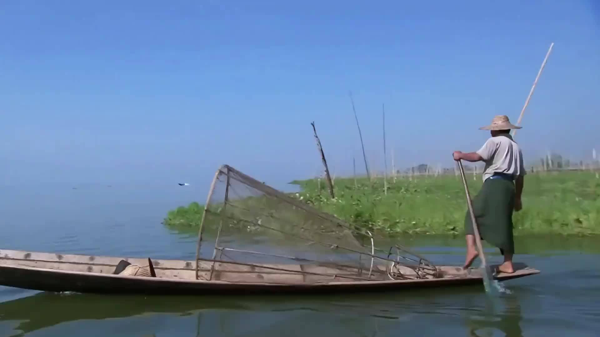 静谧的茵莱湖畔,他们靠单脚划桨,开辟水上菜园