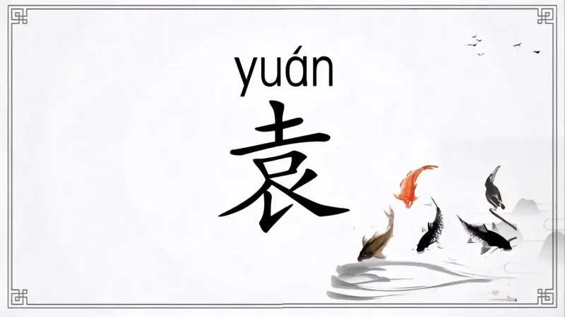 袁字笔画顺序动画演示,百家姓袁