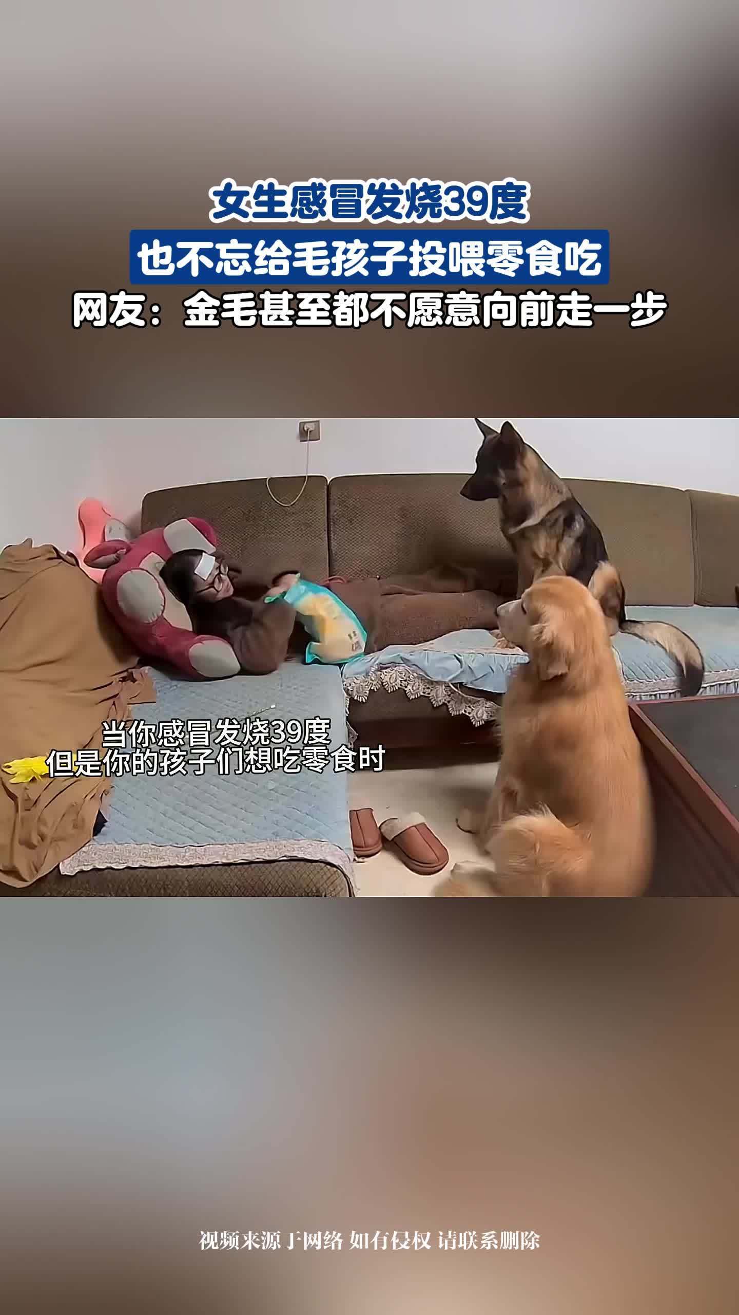 女生感冒发烧39度,也不忘给毛孩子投喂零食吃