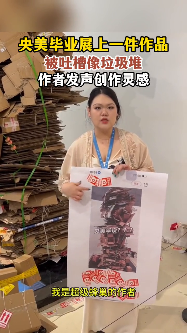 央美毕业展上一件作品被吐槽像垃圾堆,作者发声作品灵感