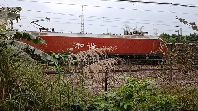 HXD1D牵引K84次列车从大华村经过