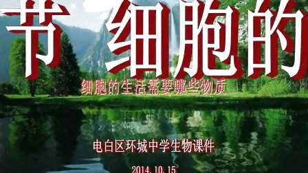 第四节 细胞的生活需要物质和能量(演示实验 燃烧种子)