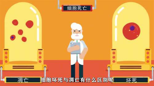 细胞坏死与凋亡生物知识分享细胞死亡