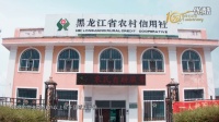 黑龙江农村信用社成立65周年 省联社成立10周年
