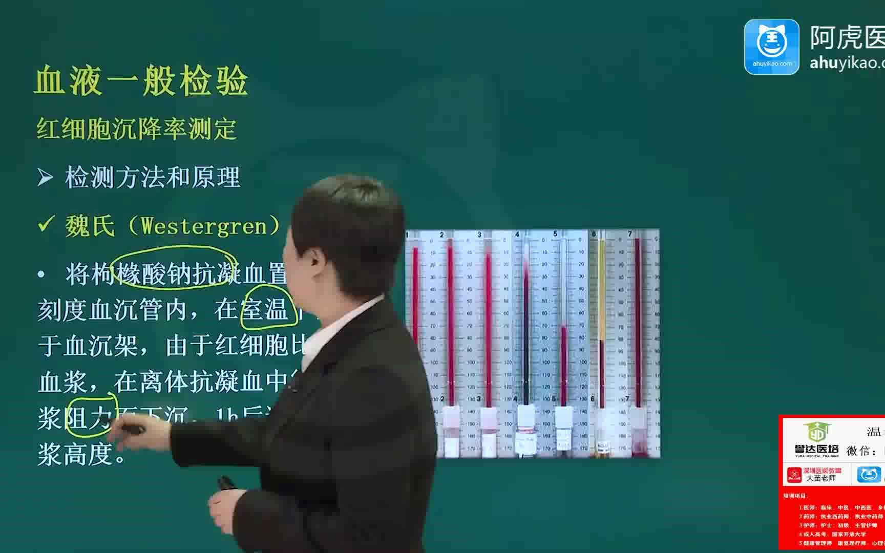 ...临床基础检验副主任医师考试视频课程-考点精讲课血液一般检验(4)