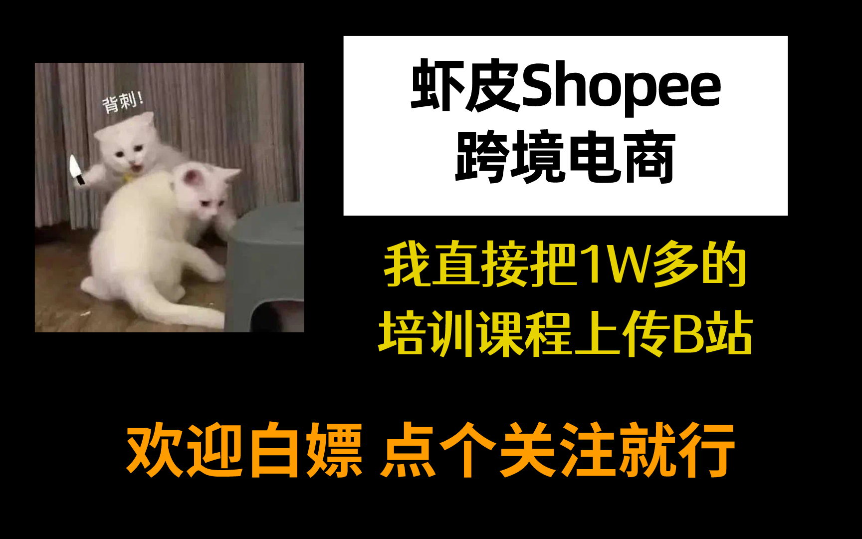 背刺培训机构,1w多的跨境电商虾皮shopee培训课程免费分享,欢迎白嫖...