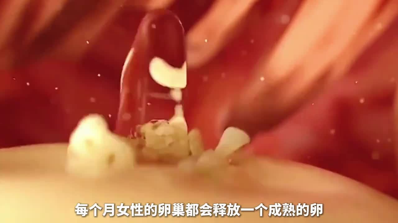 这就是胎儿发育的全过程!#科普 #胎儿 #怀孕 #生命诞生的过程 #科普...