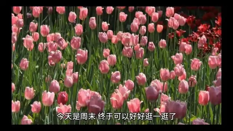 周末户外活动,快乐满载而归
