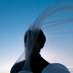 超级奥尔良烤章鱼丸 