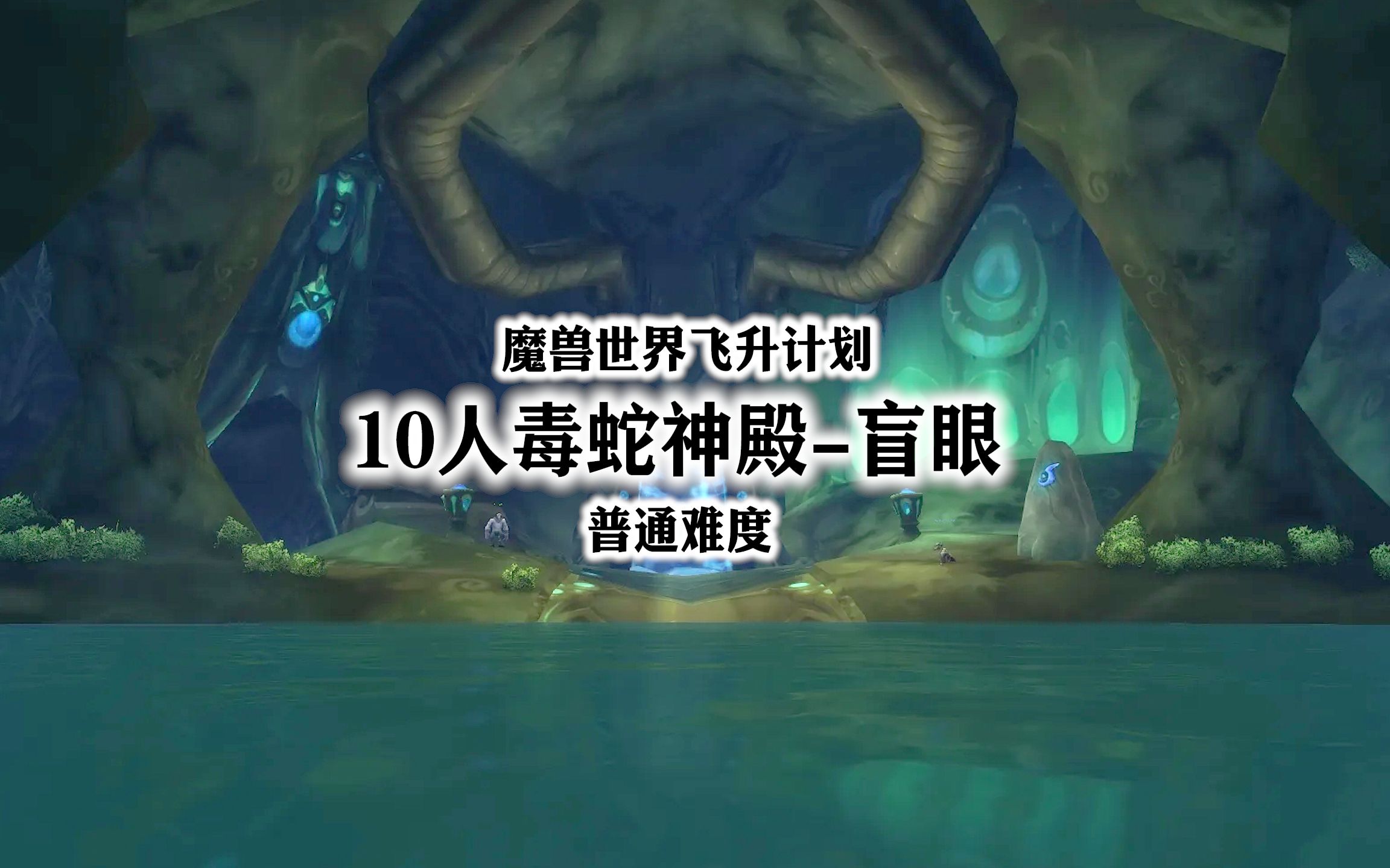 【魏斌】魔兽世界飞升计划:开荒毒蛇神殿的盲眼,差点被这魔改旋风斩...