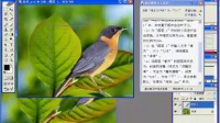 高中信息技术操作题——FLASH春天