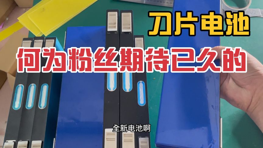 刀片电池原来是这样的,不知道大家有没有失望