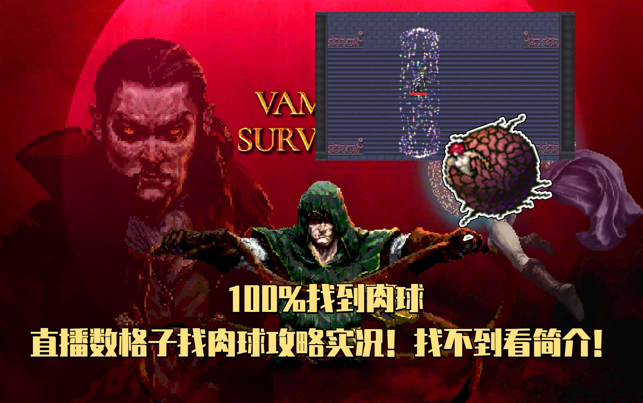 找不到肉球位置看我!直播数格子找肉球实况。结论在简介!