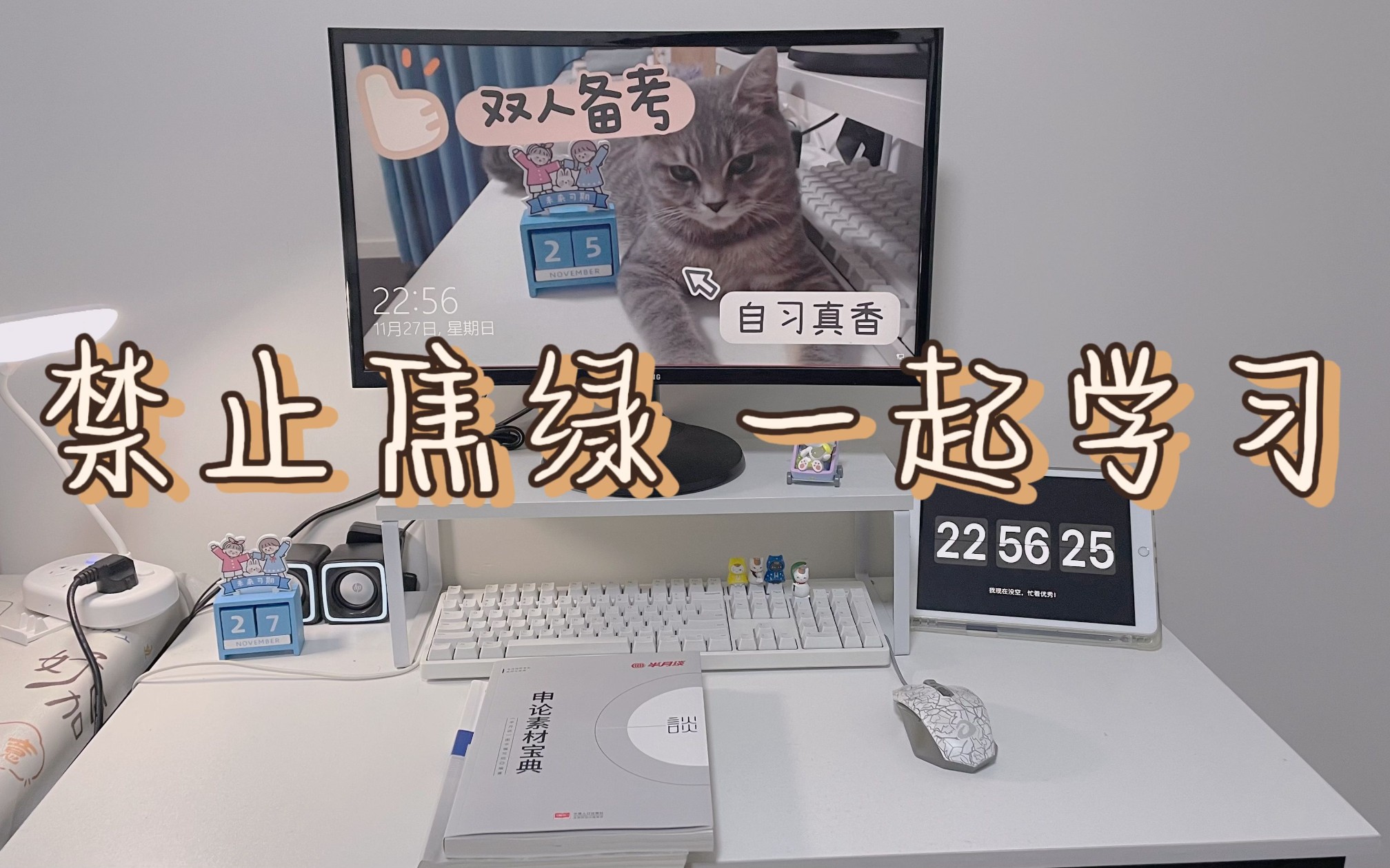 ߓ�45分钟实时学习(白噪音ߎ�魔药制作) |倒计时ߍ�+猫咪陪伴 | ...