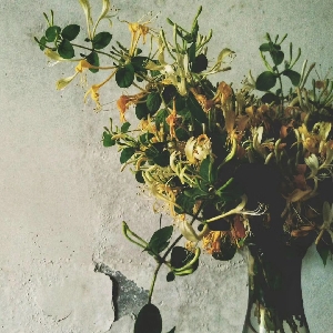 大海中的小小鱼 