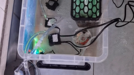 手工制作——自制鱼缸过滤系统,有过滤桶、滴流盒、反气举等等,还在...