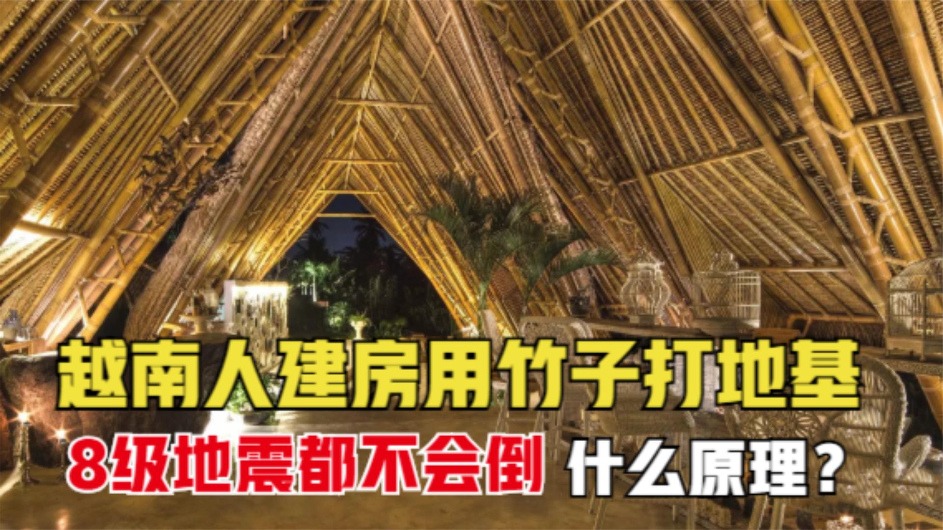 越南人打地基不用钢筋水泥,反而在地上插满竹子?有哪些好处?