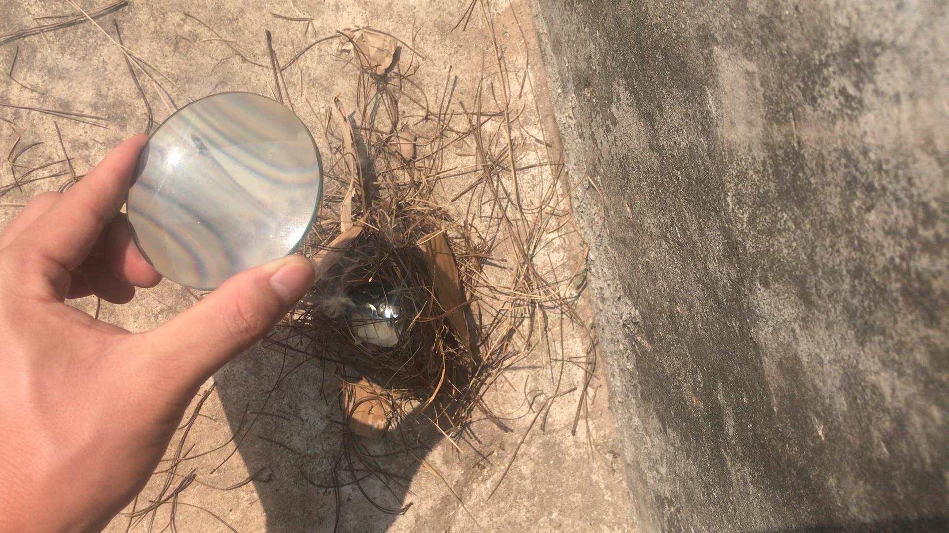 20.3.23学习野外生存生火技能:放大镜点火 凸透镜聚焦加热起火