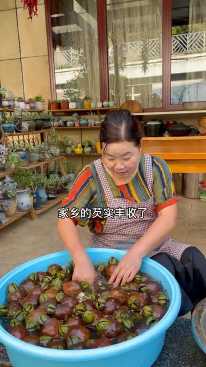 ...的芡实丰收了,芡实像我这样做你们吃过吗?今天我把芡实三吃的做法...