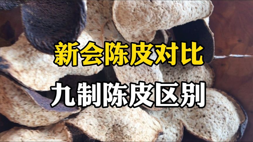 新会陈皮与九制陈皮之间到底有何不同?