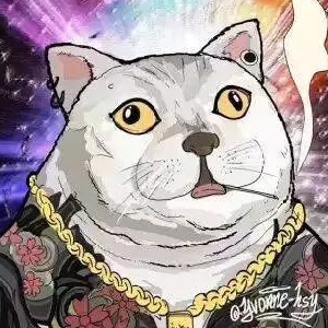 苹果炮kk 