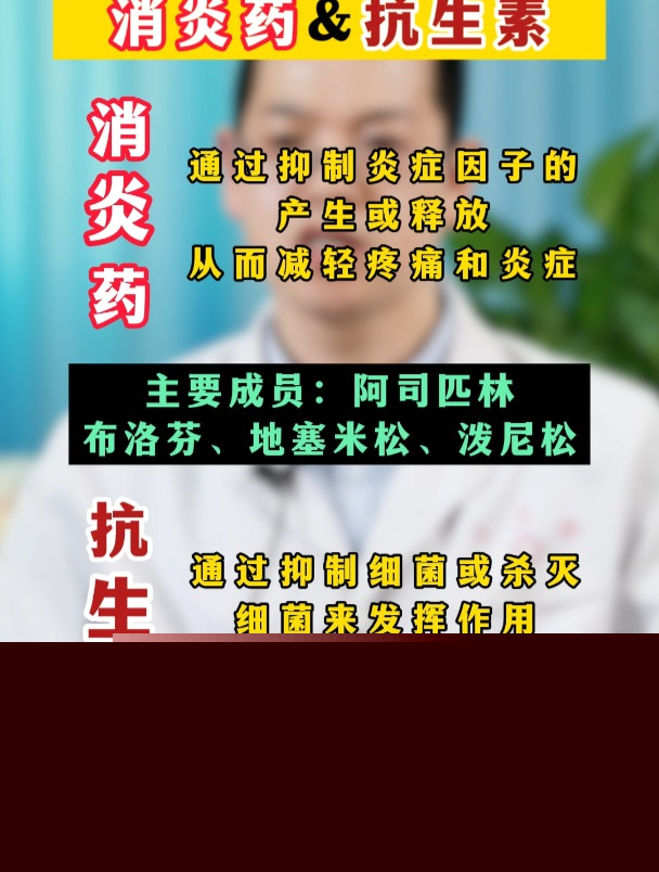 一条视频教你分清消炎药抗生素