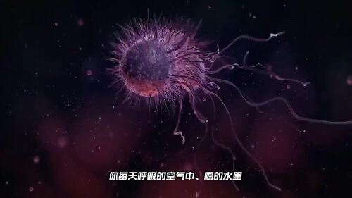 显微镜下的惊天秘密:谁首次揭开微生物的神秘面纱?