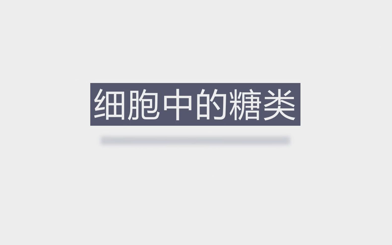 【跟我学生物】生活中的糖类——高一生物