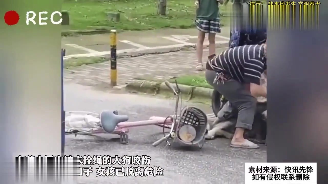 女孩小区被未拴绳大狗咬伤脖子被咬出大口狗主人:我家狗不咬人