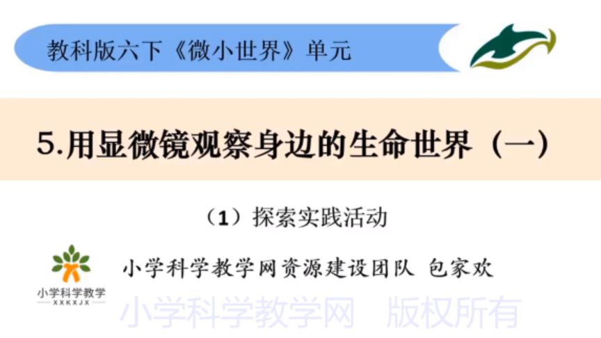 六下1.5《用显微镜观察身边的生命世界(一)》#教科版小学科学