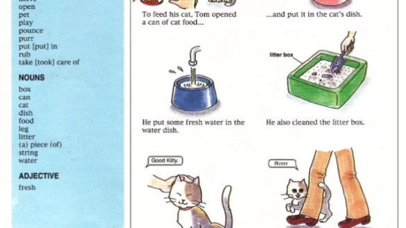 有关于照顾宠物,除草及洗车等实用英文表达,收藏起来